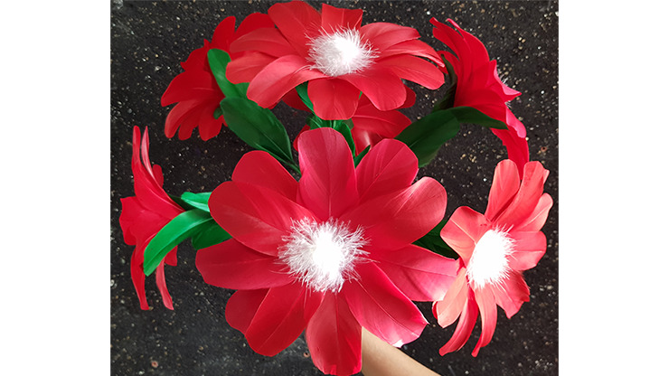 Red Flower by Black Magic - Magic Trick